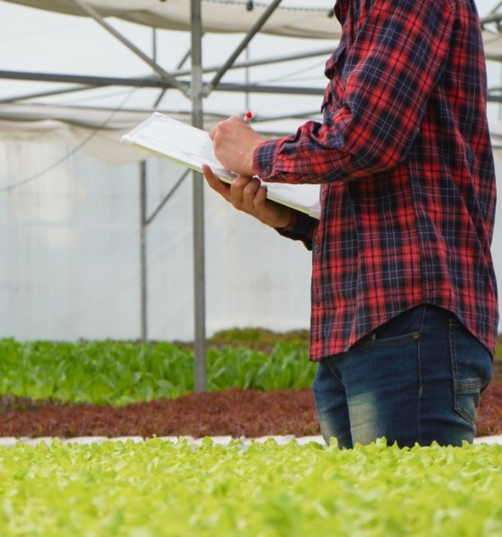 The Quality – Millennium Farms